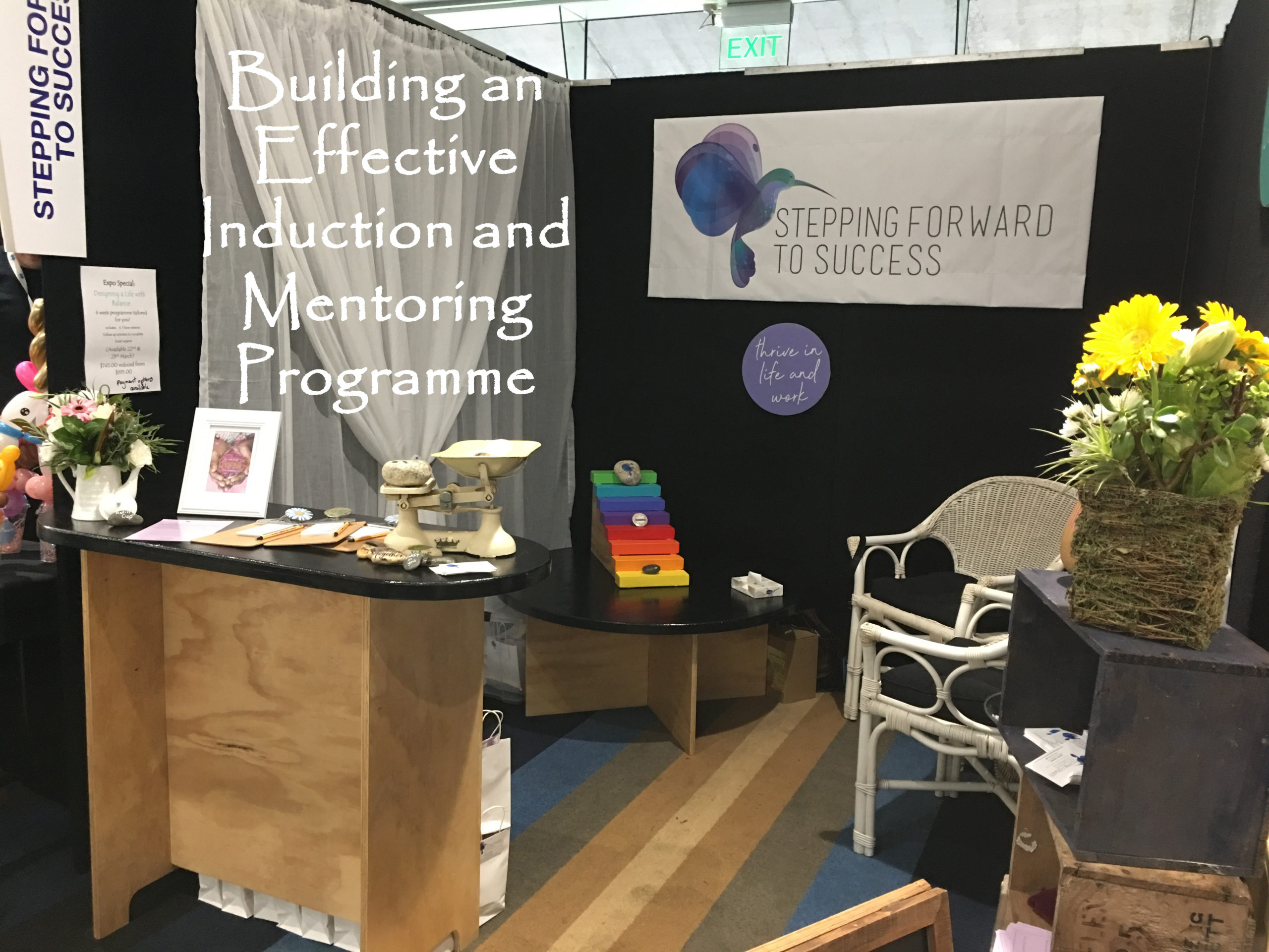 Building an Effective Induction and Mentoring Programme