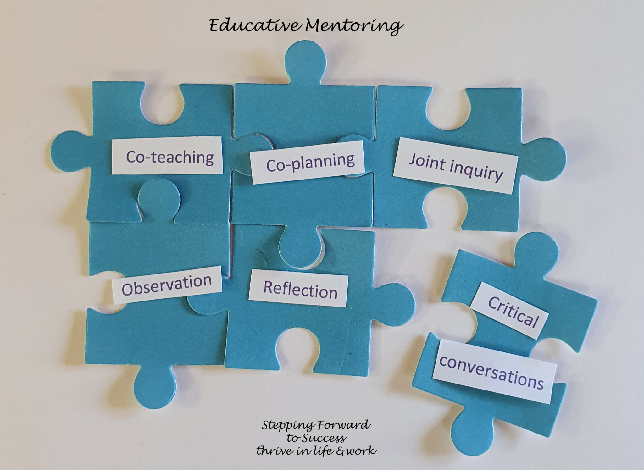 What is an ECE mentor and how they can help you